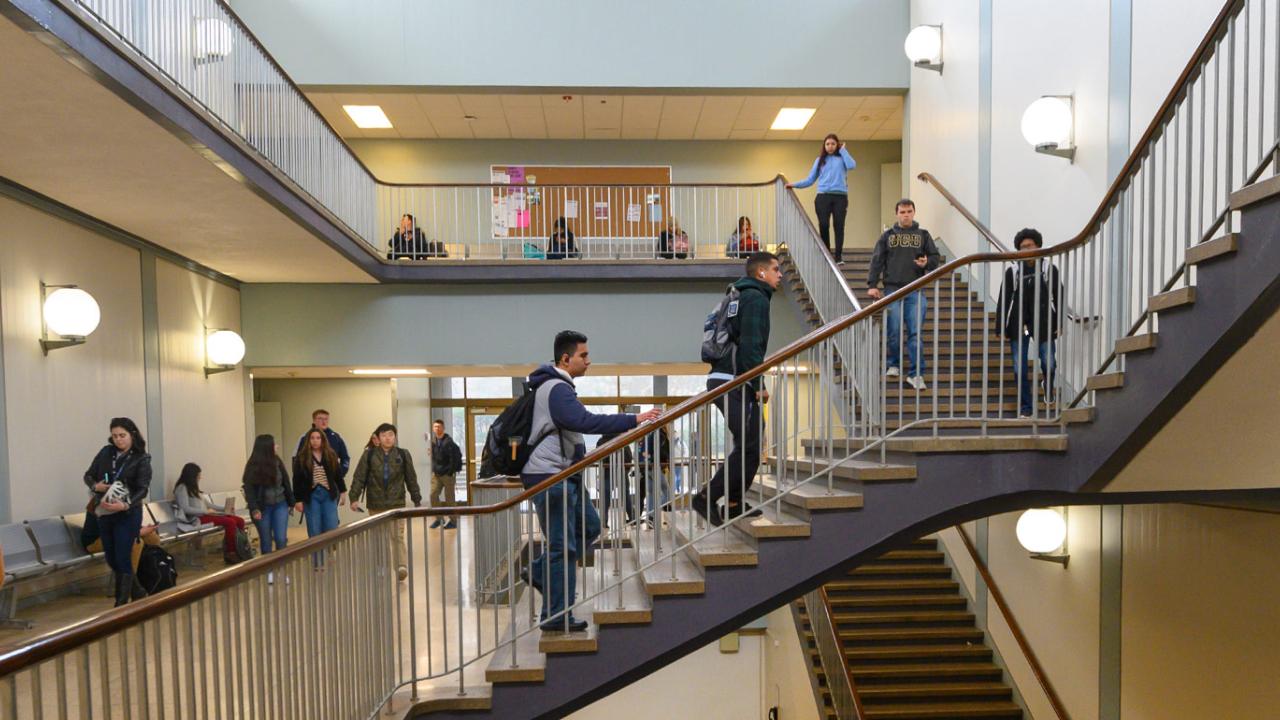 Transfer Applicant Timeline | UC Davis